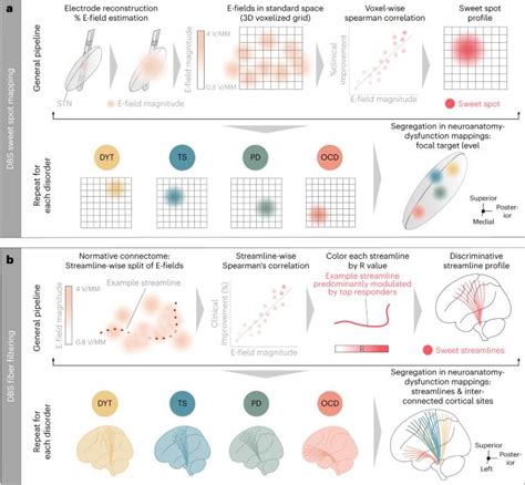 Mapping Dysfunctional Circuits In The Frontal Cortex Using Deep Brain