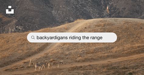 Backyardigans Riding The Range Pictures Download Free Images On Unsplash