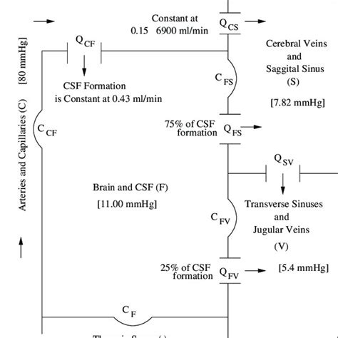 A Diagram Of The Lumped Parameter Model Compartment Labels Are