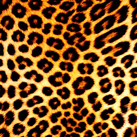 Download Leopard Print Background Png 73