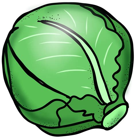 Free Cabbage Cliparts Download Free Cabbage Cliparts Png Images Free