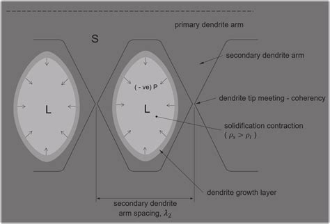 Mushy Zone Coherency During Solidification Shrinkage Download Scientific Diagram