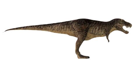 T Rex By Draco Awesomeness On Deviantart