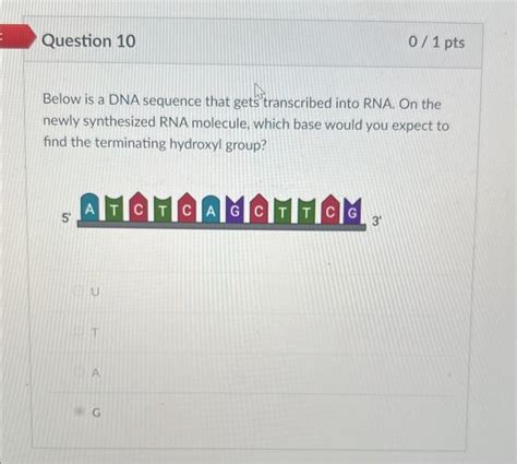 Solved Below Is A Dna Sequence That Gets Transcribed Into
