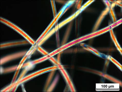 Fibers Synthetic Microtrace
