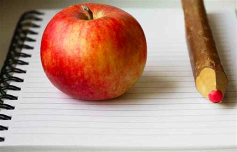 Going Local The Bulletins Guide To The Belgian School System The