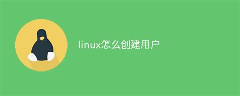 linux怎么创建用户 叮当号