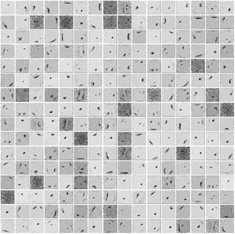Features Of One Hidden Layer Autoencoders Which Have 256 Rectified Download Scientific Diagram