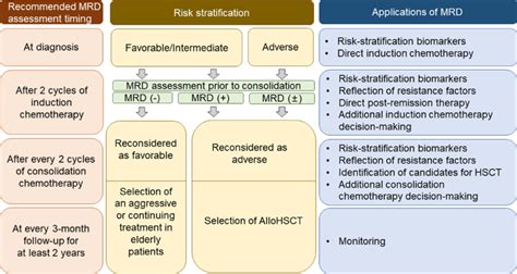 Summary Of Mrd In Older Adult Aml Patients Characteristics Of Mrd In