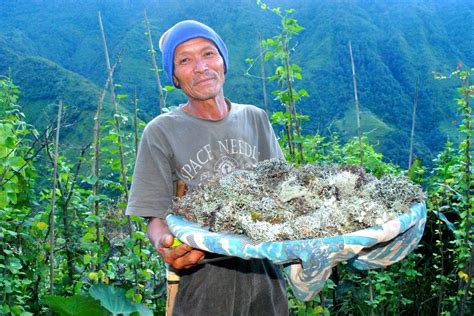 Emma Archer Posted On Linkedin