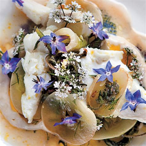 Borage Common Herb Plants Borago Officinalis Edible Flowers Recipes