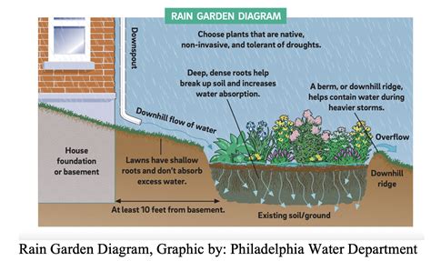 Rain Garden Diagram