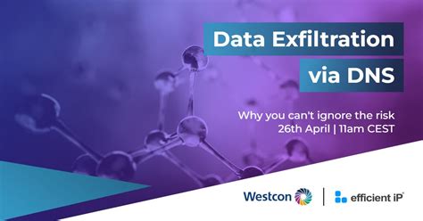 Data Exfiltration Via Dns Is Becoming A Threat For More And More