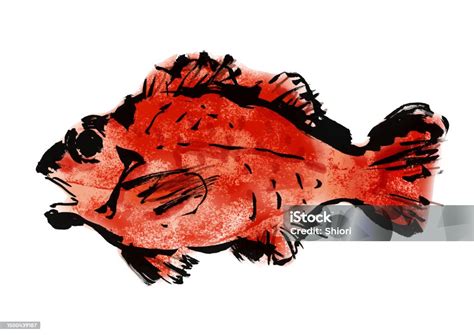 Handdrawn Japanesestyle Illustration Of A Fish Called Menuke