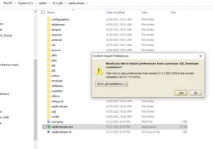 Oracle SQL Developer Modeler Versions 22 2 Now Available