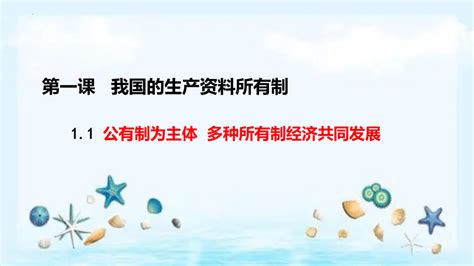 1 1公有制为主体 多种所有制经济共同发展 课件 （共29张ppt） 21世纪教育网