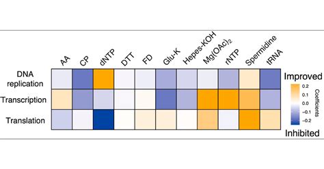 Transcription And Translation Chart