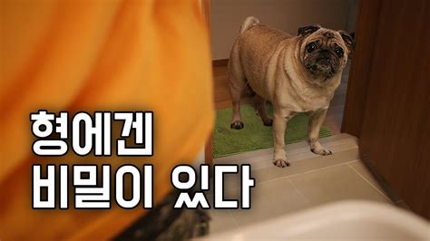 형의 비밀을 알게 되었다 왓더퍼그 Ep18 Youtube