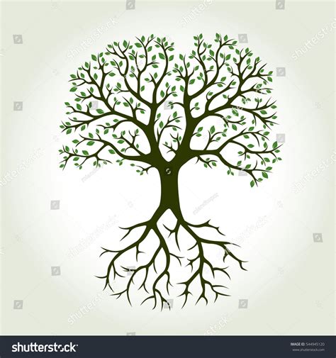 Dried Tree With Roots Over 2 813 Royalty Free Licensable Stock Vectors Vector Art Shutterstock