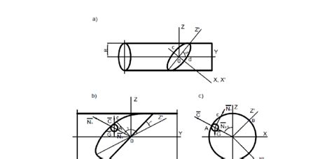 Scheme Of The Selected Coordinate System And The Forces Acting On The