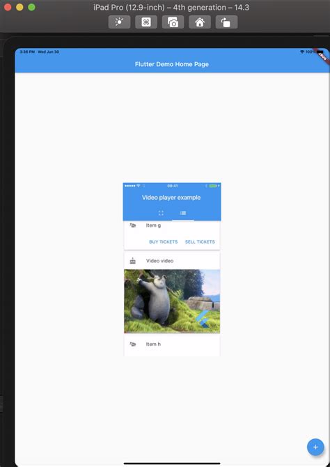 Firebase Auth Can T Run App On IPad M After Adding Firebase Auth Dependency Issue