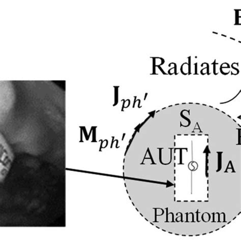 Configuration Of Noninvasive Sar Measurement For The In Body Antenna Download Scientific