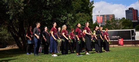 Auckland Arts Festival Is Recruiting For A New Head Of Programming Robbie Macrae