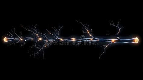 Illuminated Neurons Interact In A Dynamic Visual Representation Demonstrating The Complexity Of