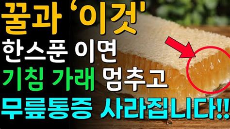 꿀과 함께 먹으면 보약보다 좋은 음식 5가지와 초간단 레시피 값비싼 영양제 대신 이것 드세요 기침 가래 염증까지 싹 사라집니다 Youtube
