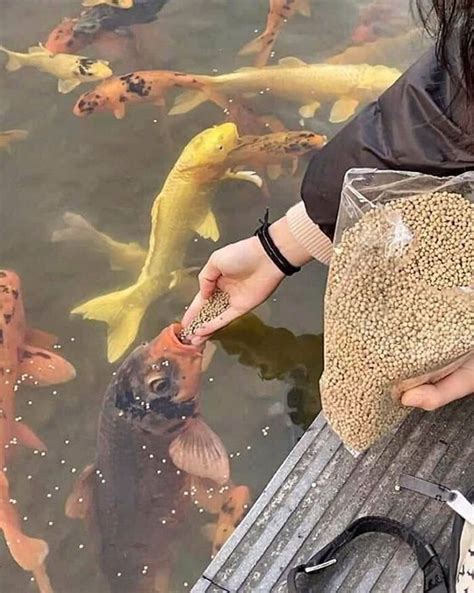 15 Pictures That Look Unexplainable But Wildly Funny