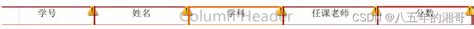 jasper实现报表 java java jasper csdn博客