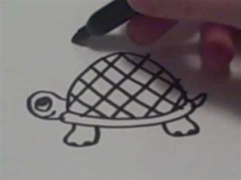 How To Draw A Cartoon Turtle YouTube