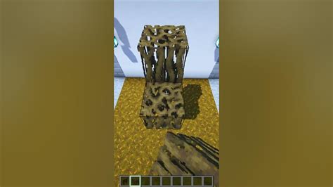 Dead Tree [minecraft Vs Real Life] 🌳💀 Youtube