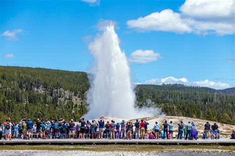 The Story Of Old Faithful And What Makes It The Most Famous Geyser In