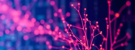 Cs301 Data Structures