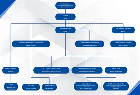 Organizational Structure Agency Pelayaran Indonesia Api