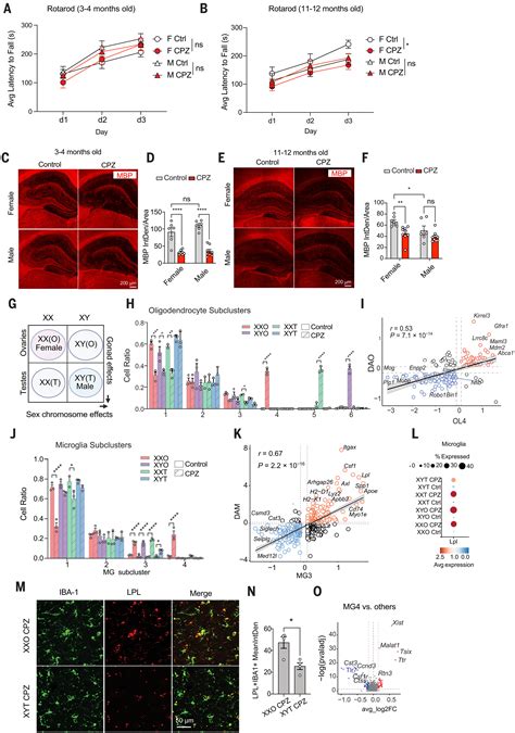 Tlr7 Drives Sex Differences In Age And Alzheimers Diseaserelated Demyelination Science