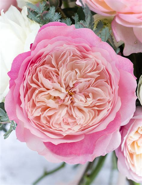 Constance David Austin Wedding And Event Roses