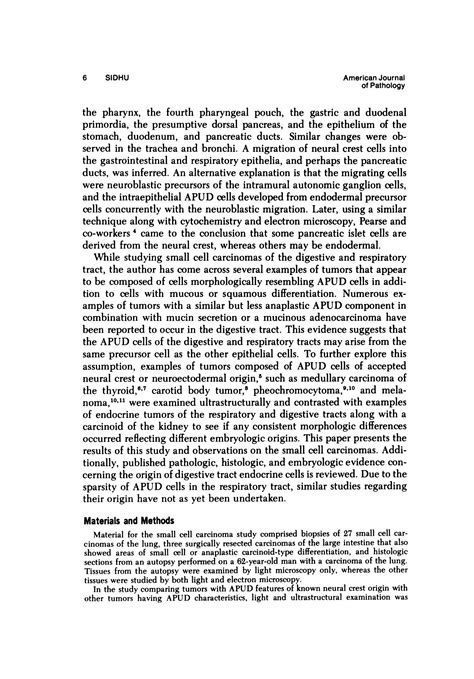Solution The Endodermal Origin Of Digestive And Respiratory Tract Apud Cells Histology Of