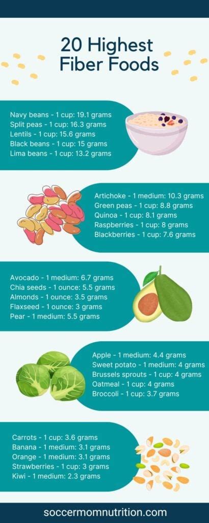 High Fiber Food Chart
