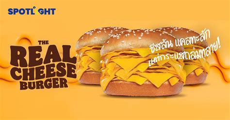 Cheese Burger รวมข่าวของ Cheese Burger อัพเดตเรื่อง Cheese Burger