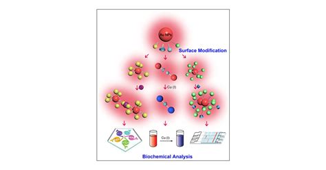 Surface Modification Of Gold Nanoparticles With Small Molecules For