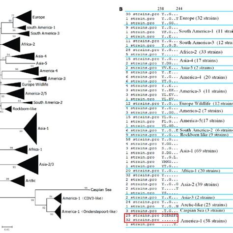 Conservative Analysis Of Antigen Epitope A Phylogenetic