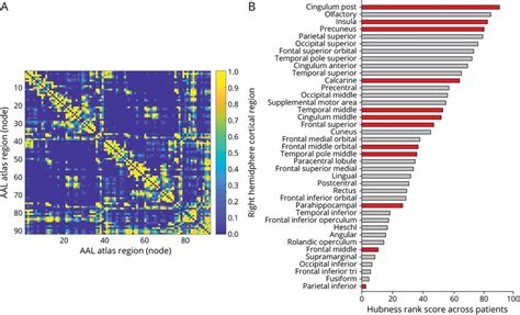 average structural connectivity matrix and distribution of hubness