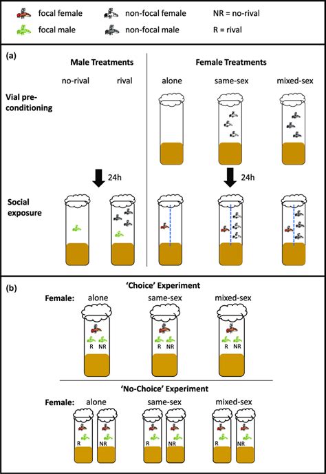 Pre And Postmating Environment Manipulations A Premating Social