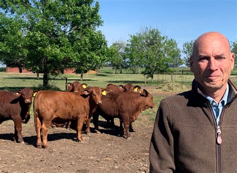 La Raza Brangus Exporta Genética Y Se Consolida Como Referente A Nivel