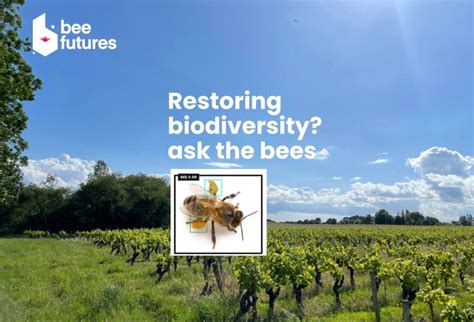 Regenerativeagriculture Biodiversity Pollination Christophe Brod