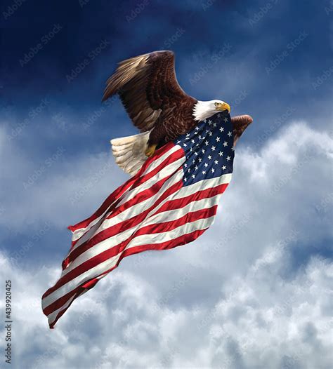 American Eagle Flying With United States Flag 18 X 20 Illustration