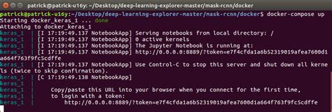 Train A Mask R CNN Model On Your Own Data Waspinator