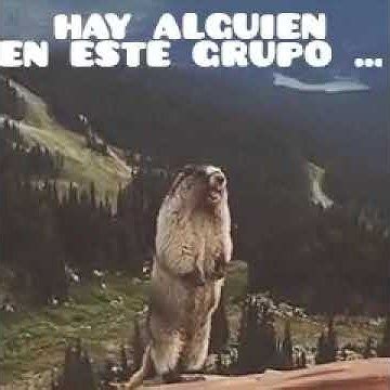 La Ardilla Gritando Youtube
